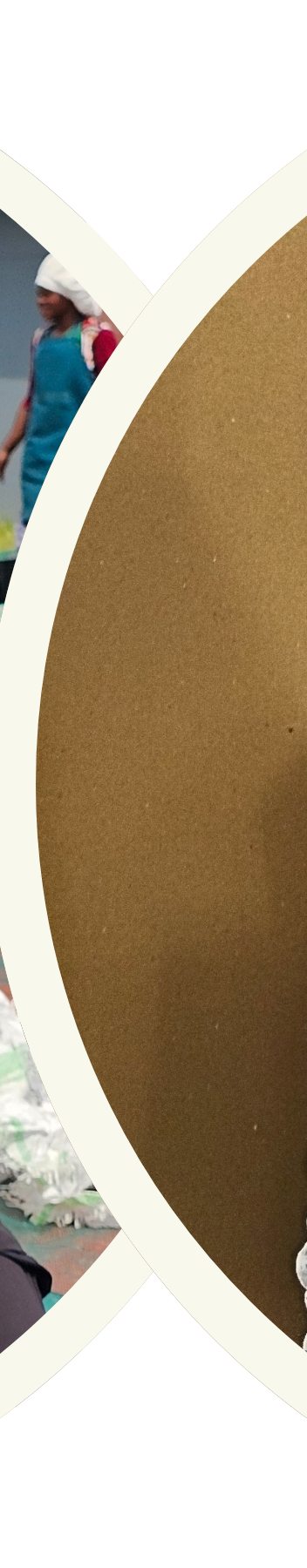 Grand Cru Vanilla beans and exceptional spices– Vanissa